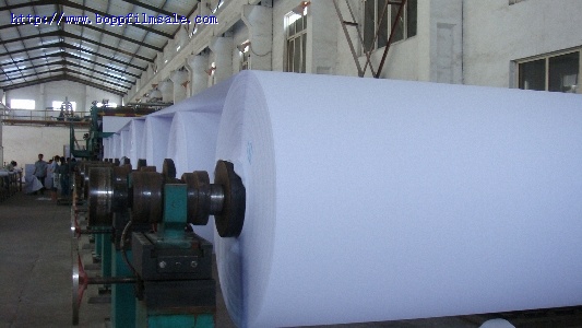 JUMBO ROLL COPY PAPER JUMBO ROLL COPY PAPER